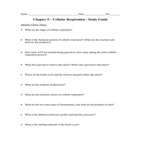 Biology - Chp 5 - Cellular Respiration - Study Guide | DOC