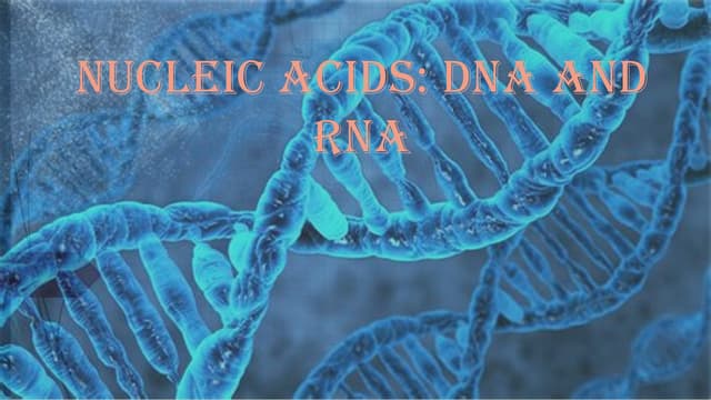 Nucleic-Acids-The-Blueprint-of-Life.pptx