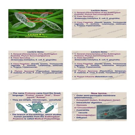 Biology lecture-1 | PDF