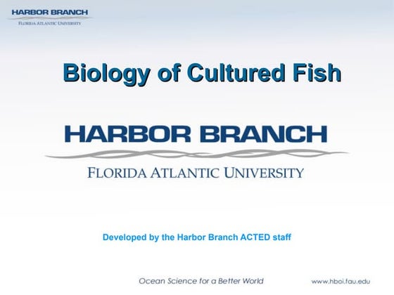 Osmoregulation in Fish about homeostasis.pptx