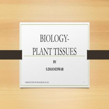 Biology tissues class 9 | PPTX