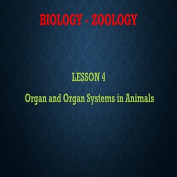 BIOLOGY - ZOOLOGY.pptx Class 11 Organ and organ systems in animals | PPTX