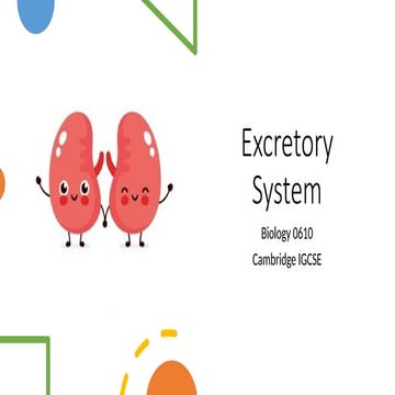 Biology0610ExcretorySystem-1 IGCSE .pptx
