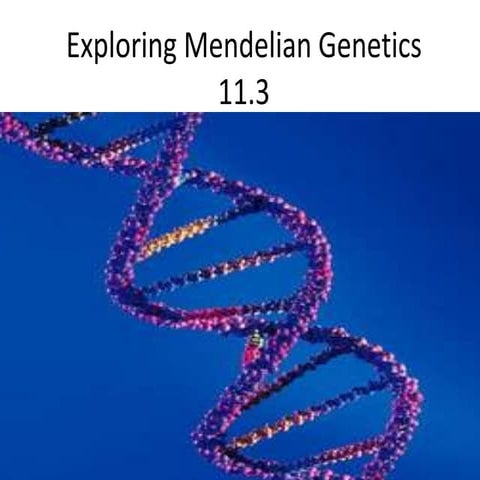 Biology 11 3 | PPTX | Genetics | Science