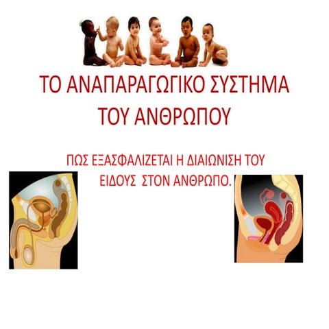 Μάθημα: Βιολογία. Α' Λυκείου. 3ο Κεφ.-Σημειώσεις σχολικού βιβλίου | PPTX
