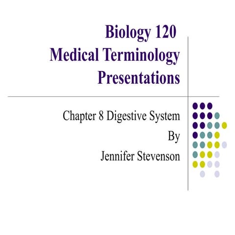 Digestive system medical terminology | KEY