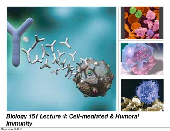 Cell mediated & humoral immunity | PPTX