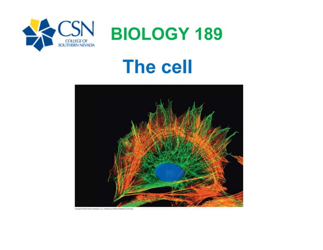 Ultrastructure of prokaryotic and eukaryotic cells | PPTX