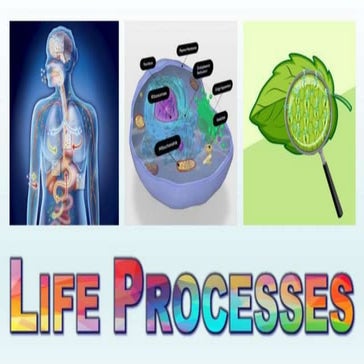 Class 10 sciecne biology all chapters ppt.pdf