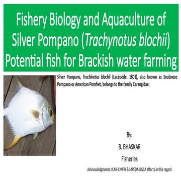 Biology and Aquaculture economics of Silver Pompano a Brackish water ...