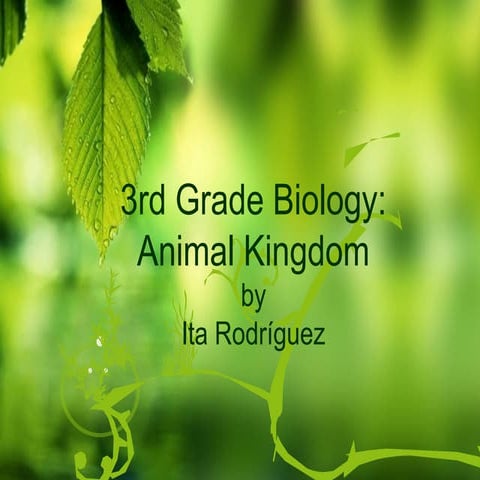 3rd Grade Biology: Animal Kingdom | PPT