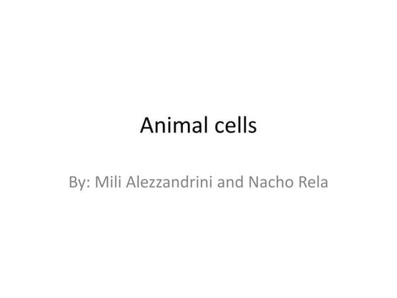 3D ANIMAL AND PLANT CELL. pptx | PPTX | Biological Sciences | Science