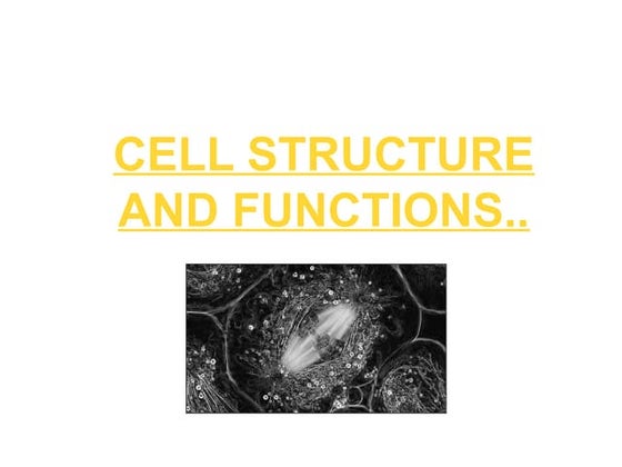 CELL STRUCTURE AND FUNCTION FOR CAMBRIDGE IGCSE | PPT