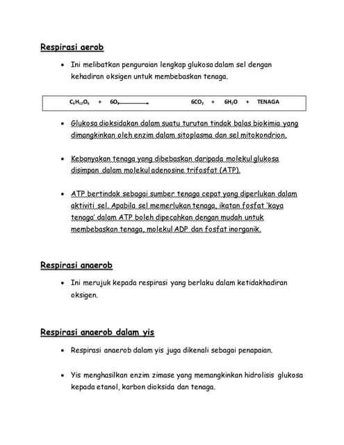 Protonefridia | DOCX