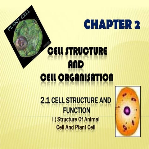 Biology cell | PPT
