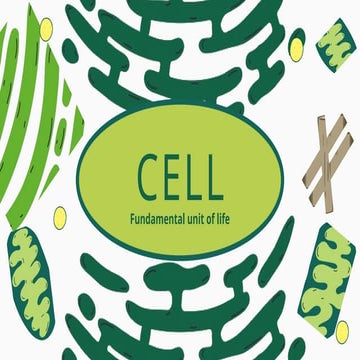 Biology Cell organelles presentation in green white illustrative style.pptx
