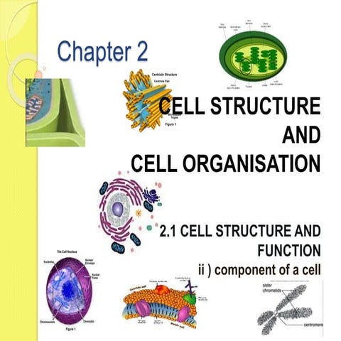 biologychapter2-130910224649-phpapp01.pdf