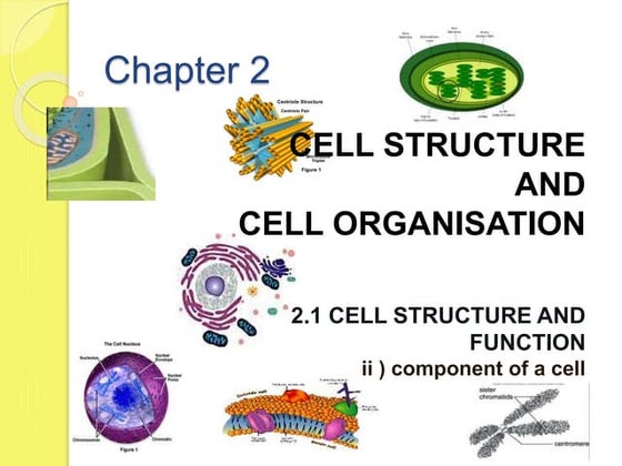 Biology chapter 3 | PPTX | Chemistry | Science