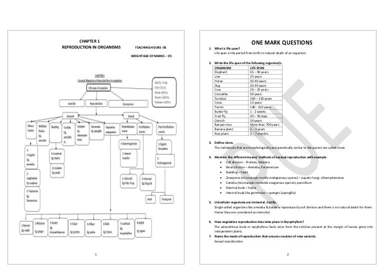 biology-chapter-wise-important-questions