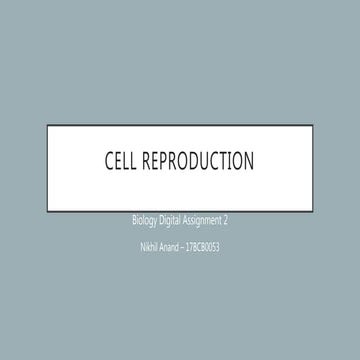 cell cycle - mitosis meiosis | PPTX