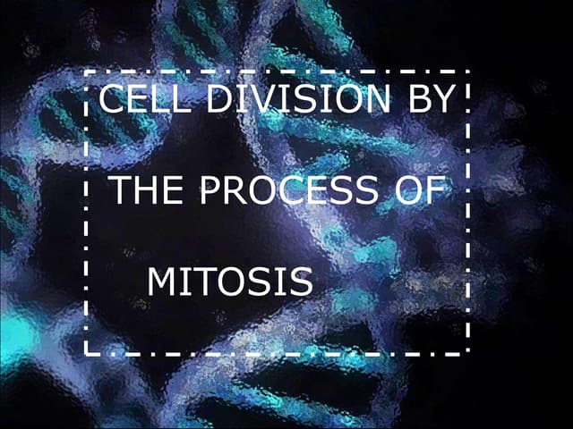 mitosis practical of bio engineering field | PPTX