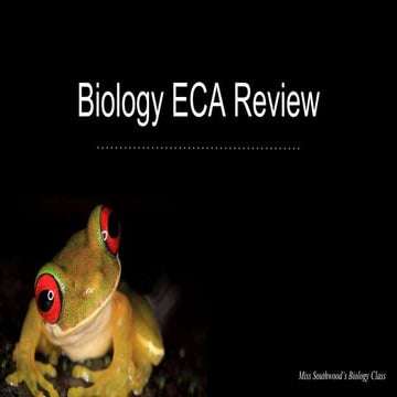 Eoc review ppt | PPT