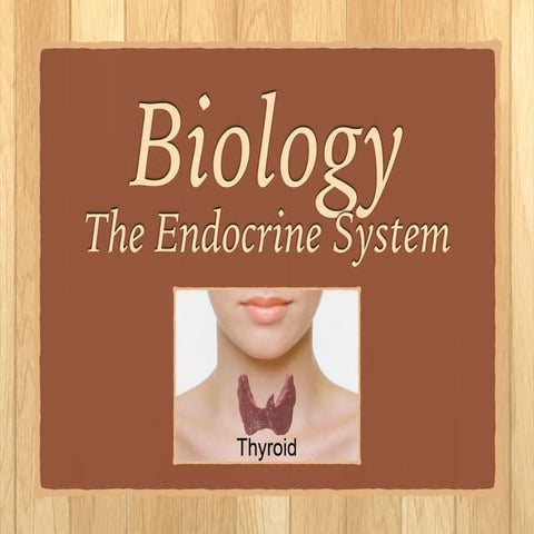 Biology: Endocrine System | PDF