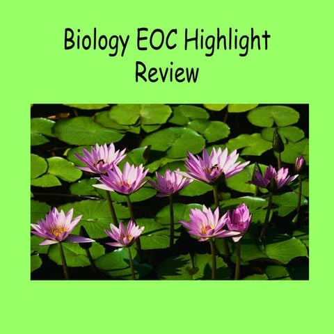 Biology EOC Highlights | PPT