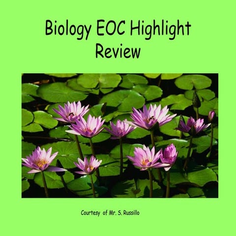 Biology eoc review slideshow | PPT