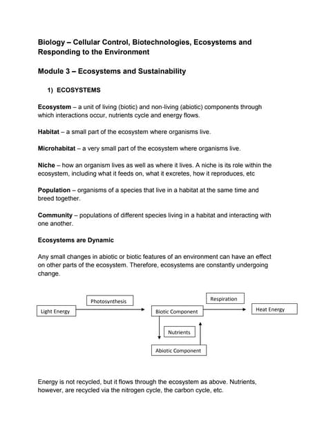 Energy Transfer in Ecosystems | PPT