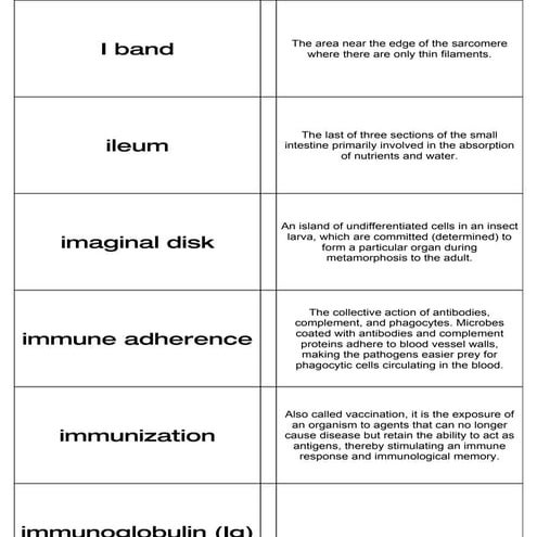 Homeostasis And Cell Transport | PPTX