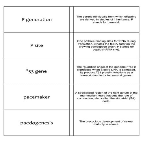 Biology Flash Cards 5 | DOCX