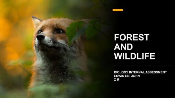 FLORA & FAUNA OF J&K.pptx