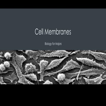 2092_Cell as basic unit of life describing the cell and its organelles ...