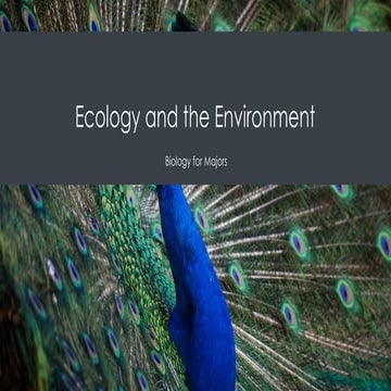 Comprehensive Overview of Ecology, Ecosystems, and Environmental Impact ...