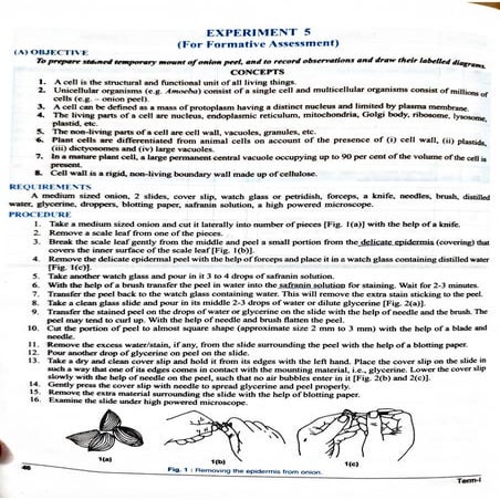 Biology lab manual activity | PDF | Biological Sciences | Science