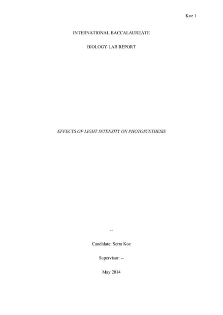 Diffusion lab report | PDF