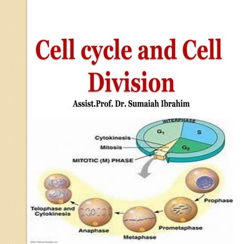 Biology lect. 3.pdf