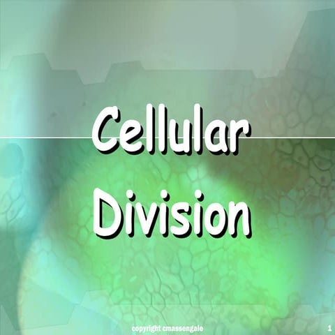 Cell Division Mitosis and Meiosis | PPT