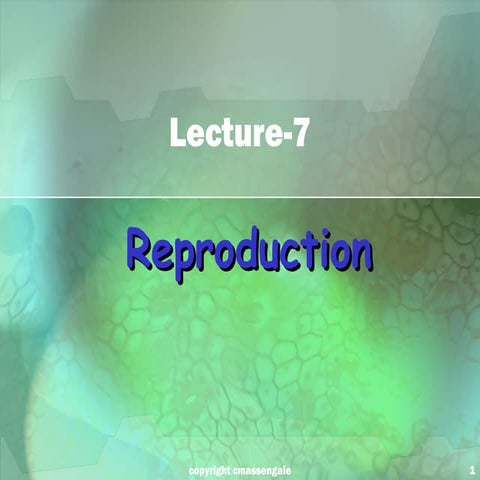 Biology lecture 7 | PPT