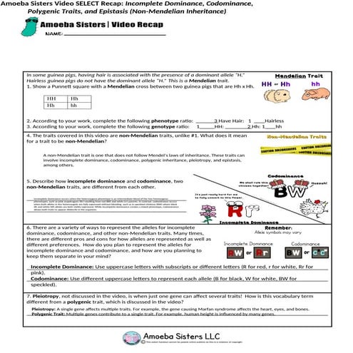Amoeba sisters video recap questions + answers, video: Incomplete ...