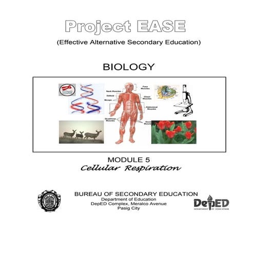 Biology m5 cellular respiration | PDF
