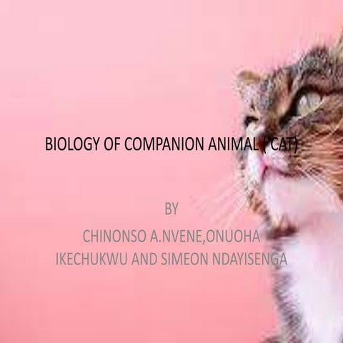 Biology of companion animal ( cat) | PPTX