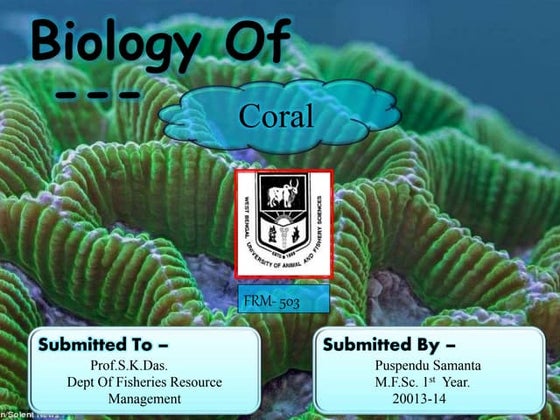 Coral reef presentation | PPT