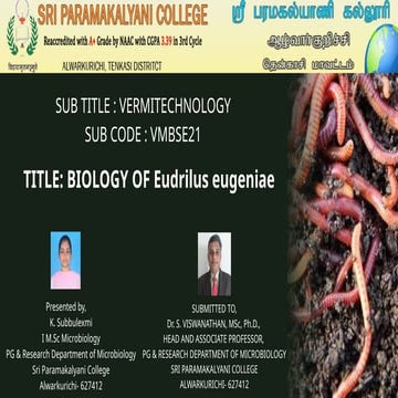 Indian Earthworm (Pheretima posthuma)ppt.pdf