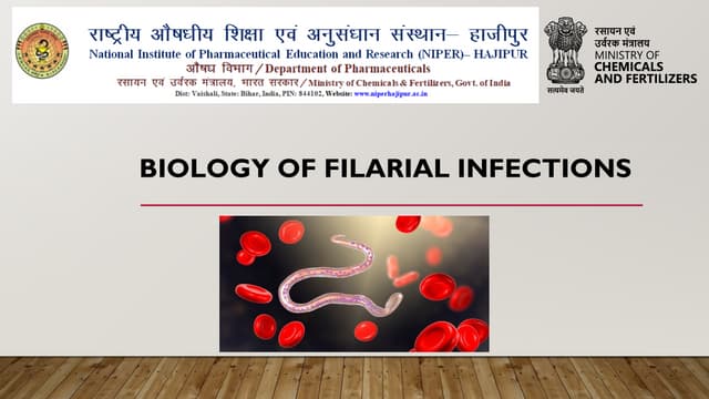 Filariasis | PPTX