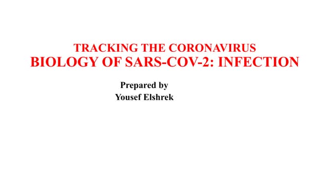 How to read a codons chart | PDF