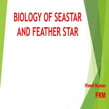 BIOLOGY OF SEASTAR AND FEATHER STAR-1.pptx