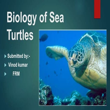 Biology of Sea Turtles ppt | PPTX