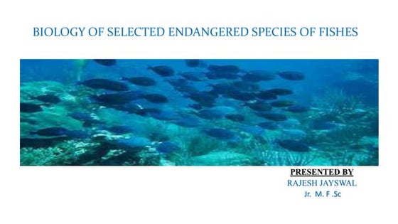 Endangered fish species of the world and India by B.pdf